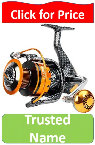 Best Open Face Spinning Reels – Outdoor Meta