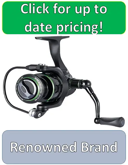 Best Open Face Spinning Reels – OutdoorMeta