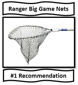 The Best Fishing Nets for Catfish Fishing – OutdoorMeta