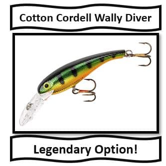 The Best Walleye Fishing Lures – OutdoorMeta