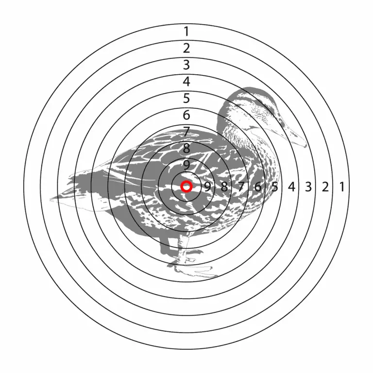 Introduction to Duck Hunting: A Beginner’s Guide – OutdoorMeta